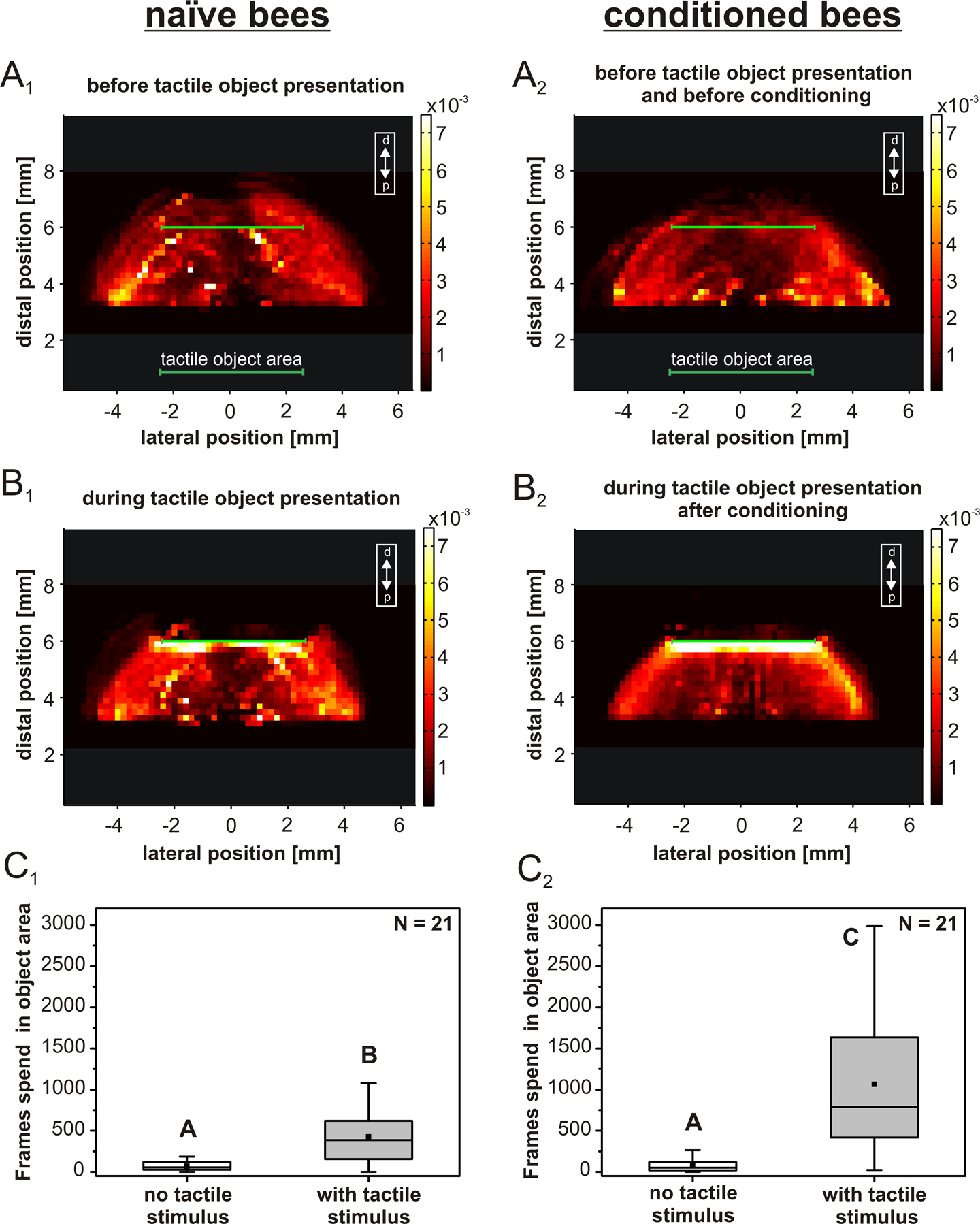 Tactile Conditioning And Movement Analysis Of Antennal Sampling ...