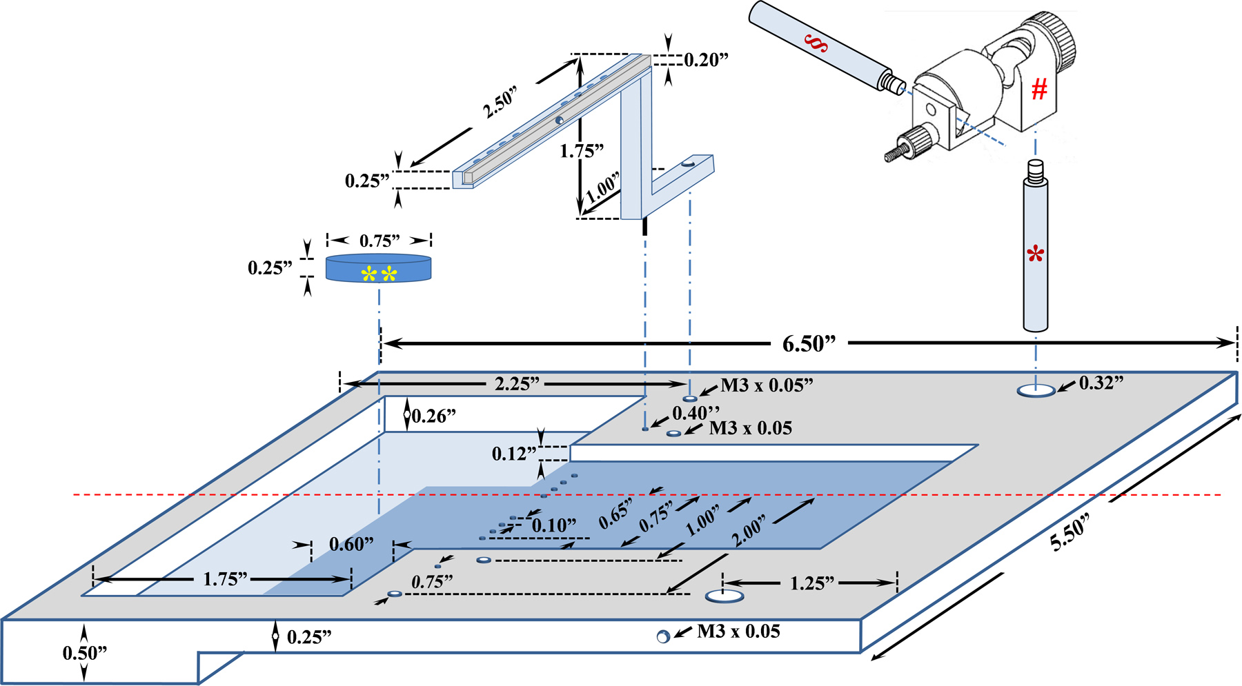 Studying the Extensor Digitorum Longus Muscle and Tibialis Anterior ...
