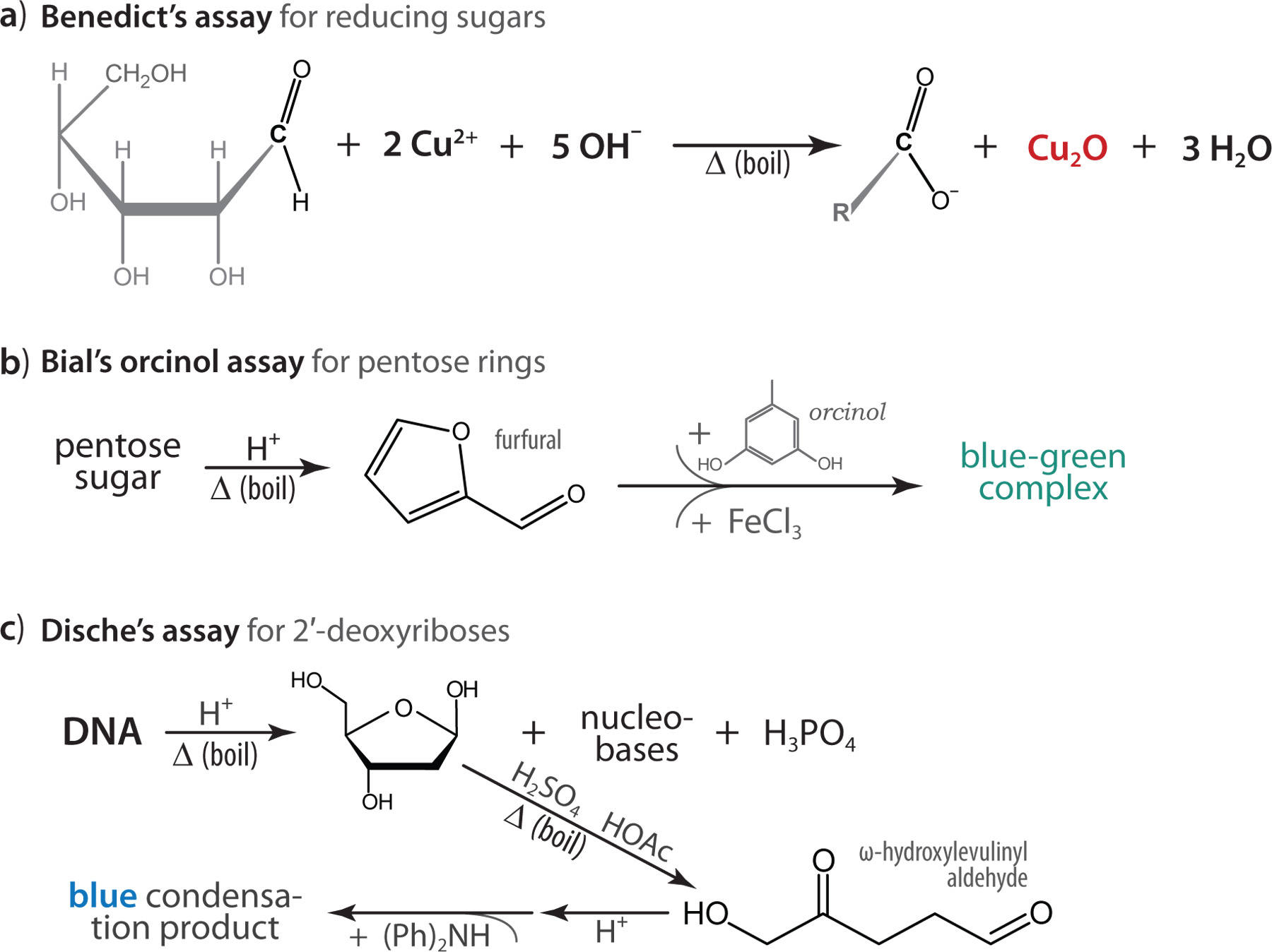 Rapid Colorimetric Assays To Qualitatively Distinguish Rna And Dna In Biomolecular Samples