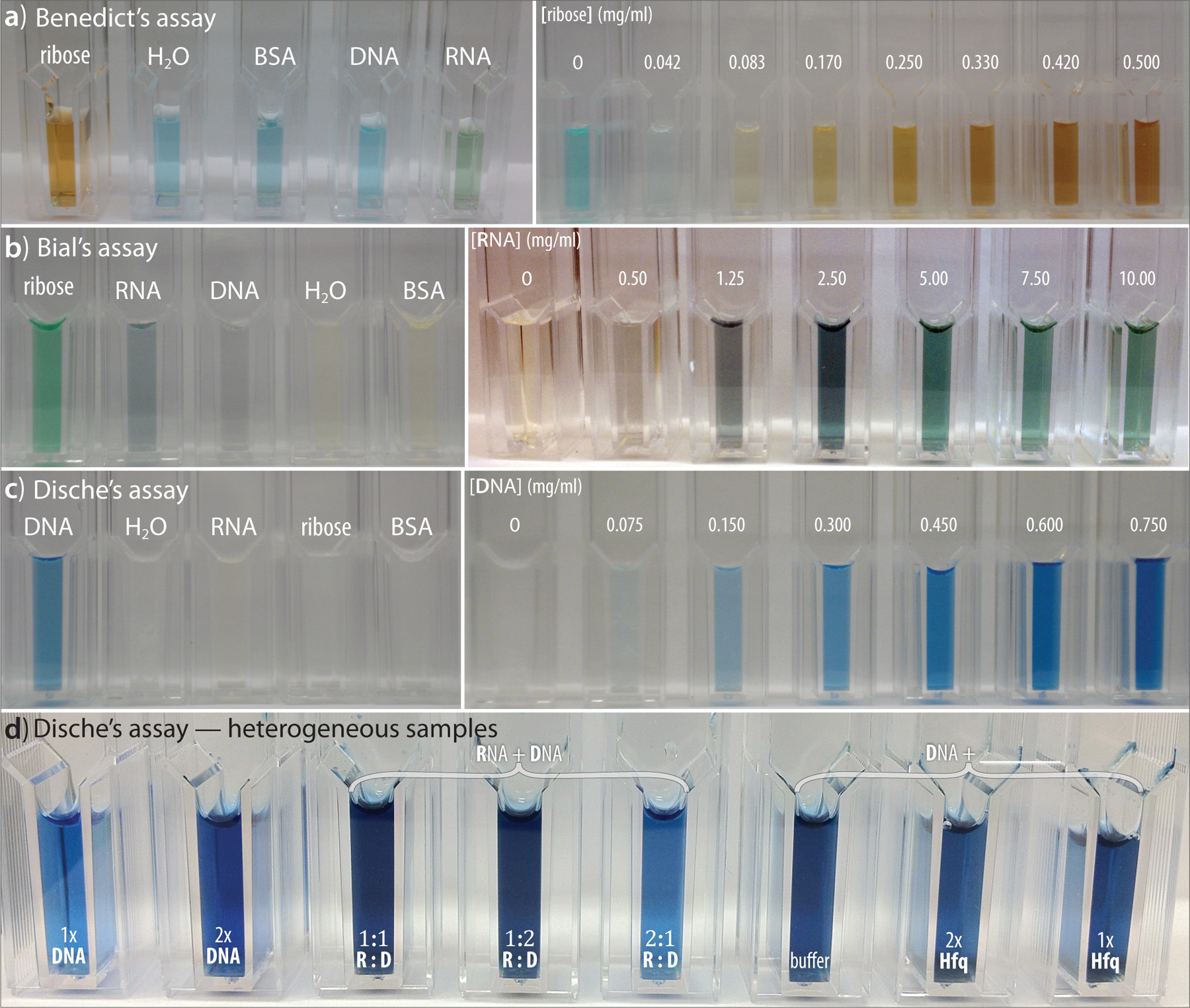 Rapid Colorimetric Assays to Qualitatively Distinguish RNA and DNA in ...