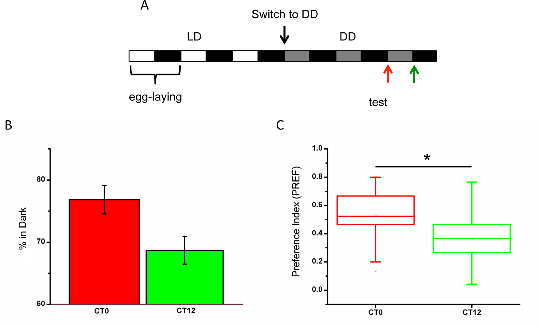 Light Preference Assay to Study Innate and Circadian Regulated ...