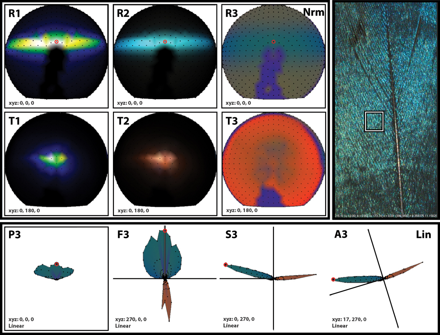 Measuring Spatially- and Directionally-varying Light Scattering from ...