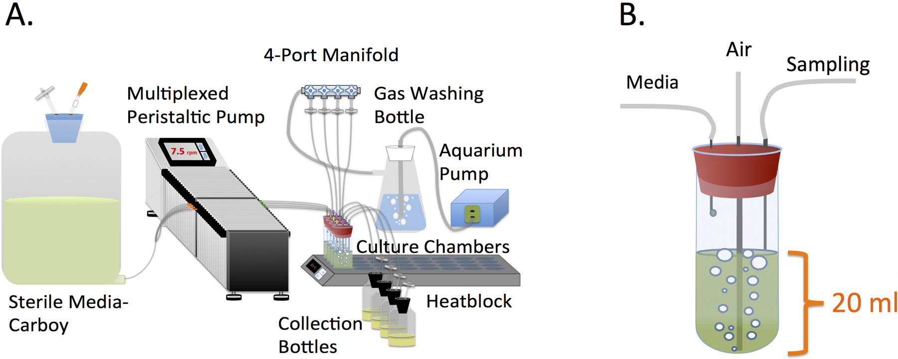 Design and Use of Multiplexed Chemostat Arrays | Text Page