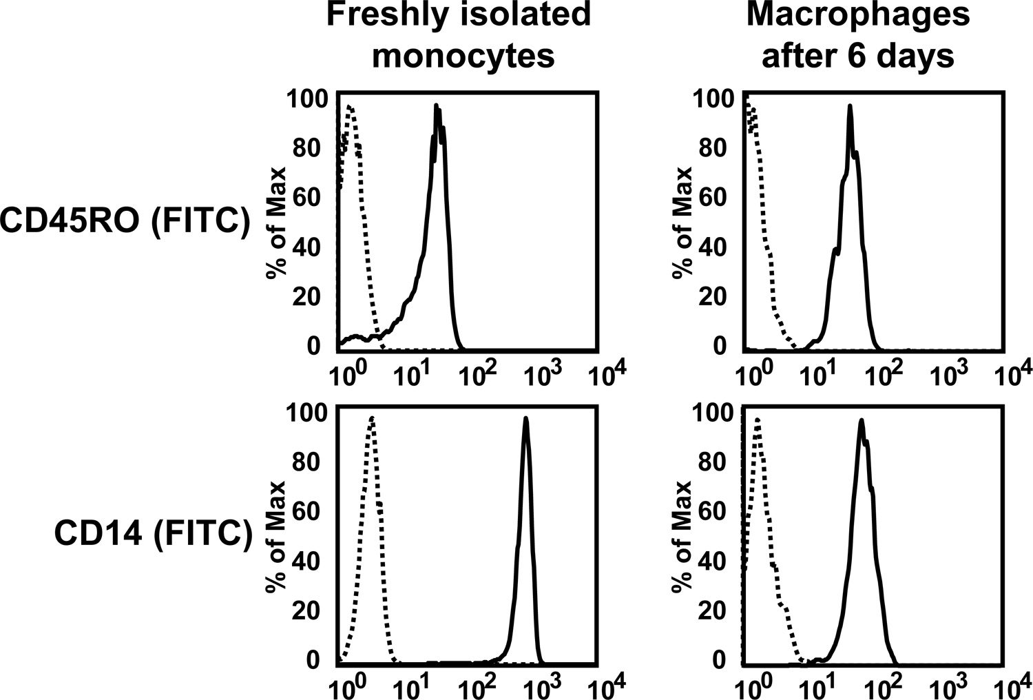 An In vitro Model to Study Heterogeneity of Human Macrophage ...