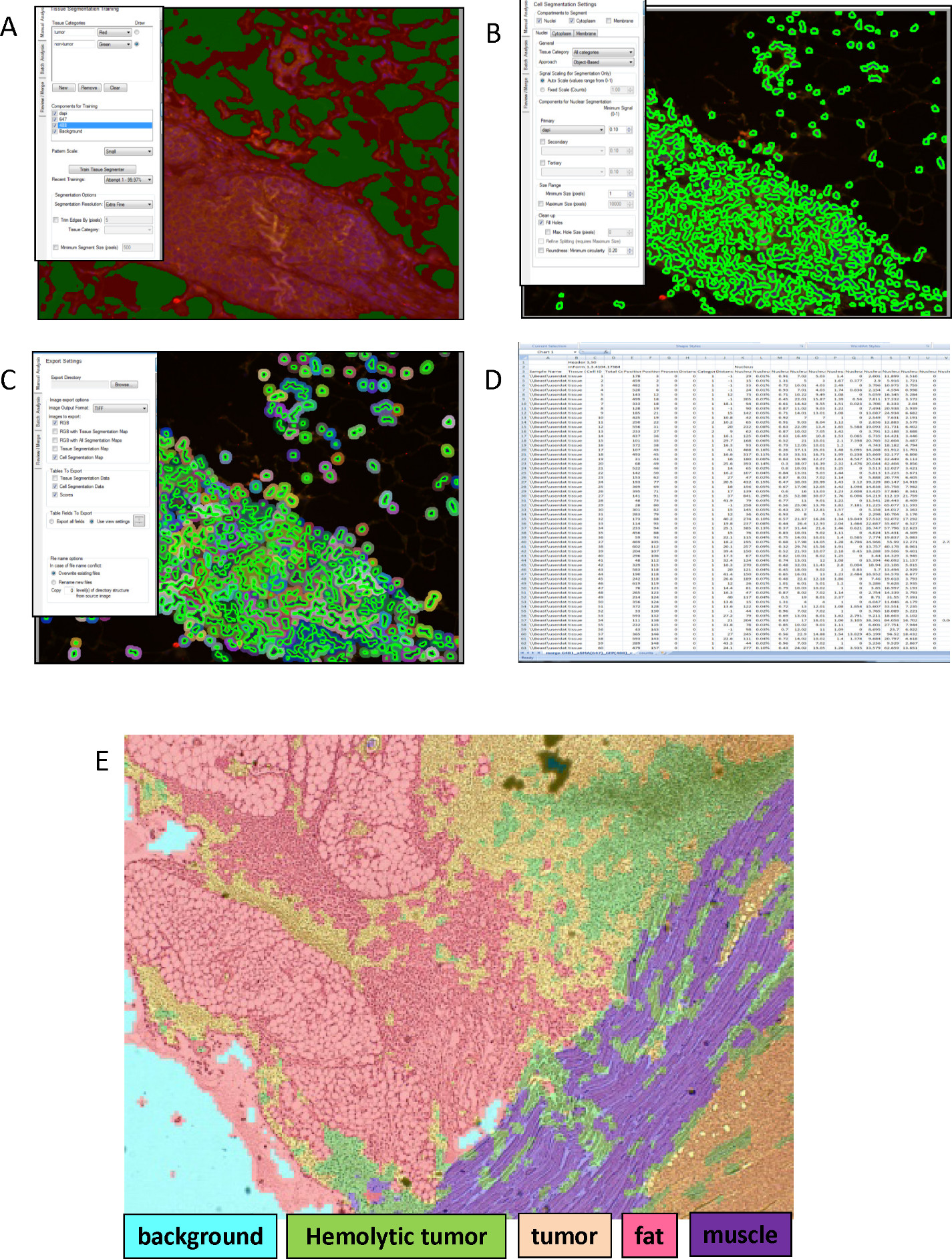 Quantitative Multispectral Analysis Following Fluorescent Tissue ...