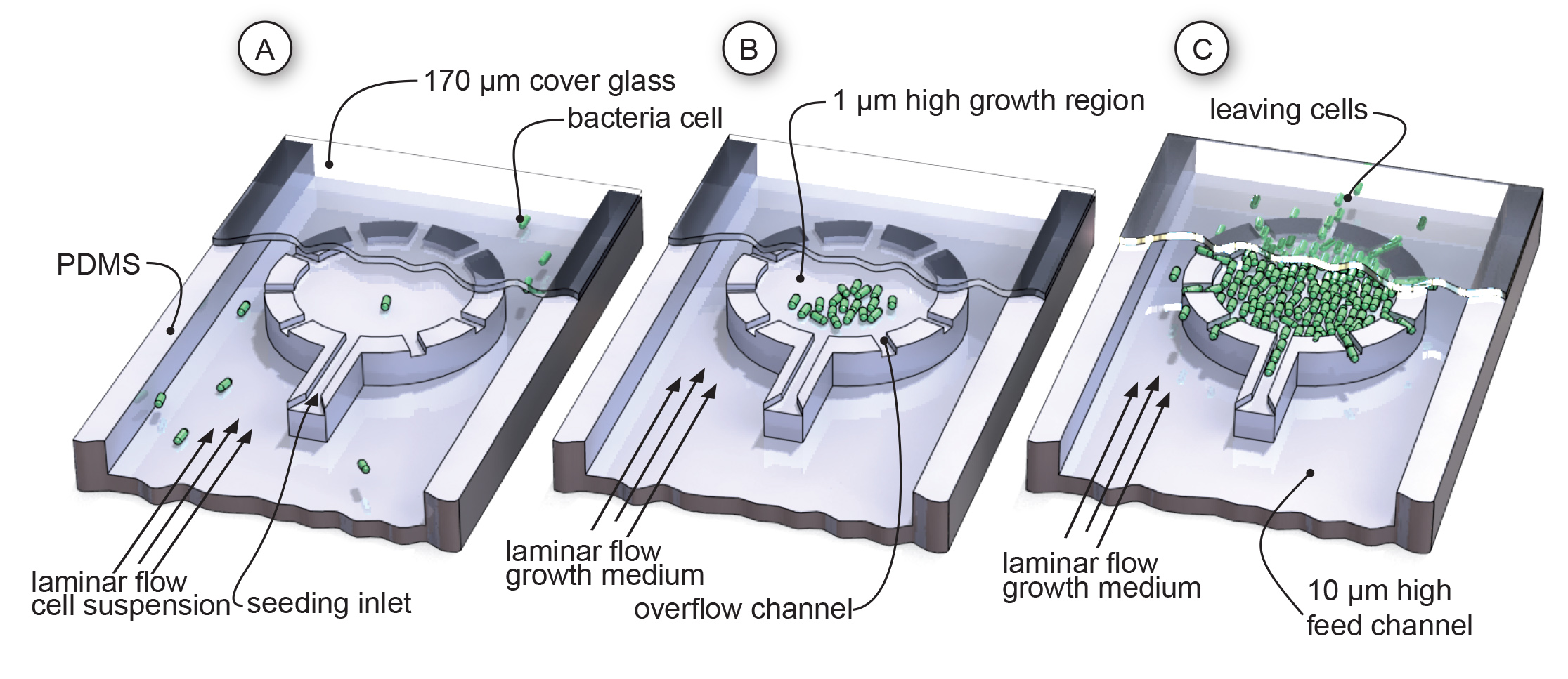 Microfluidic Picoliter Bioreactor for Microbial Single-cell Analysis ...