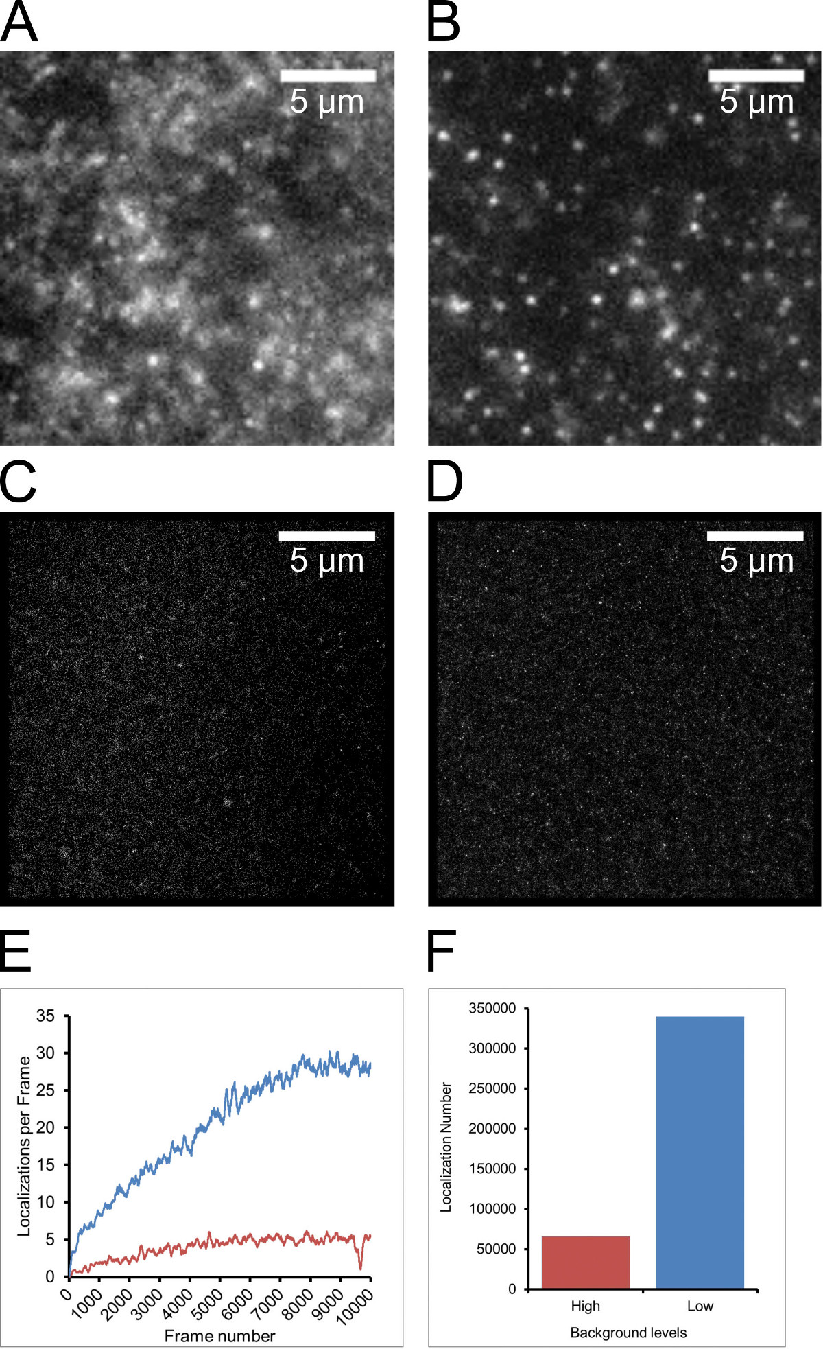 Test Samples for Optimizing STORM Super-Resolution Microscopy | Protocol