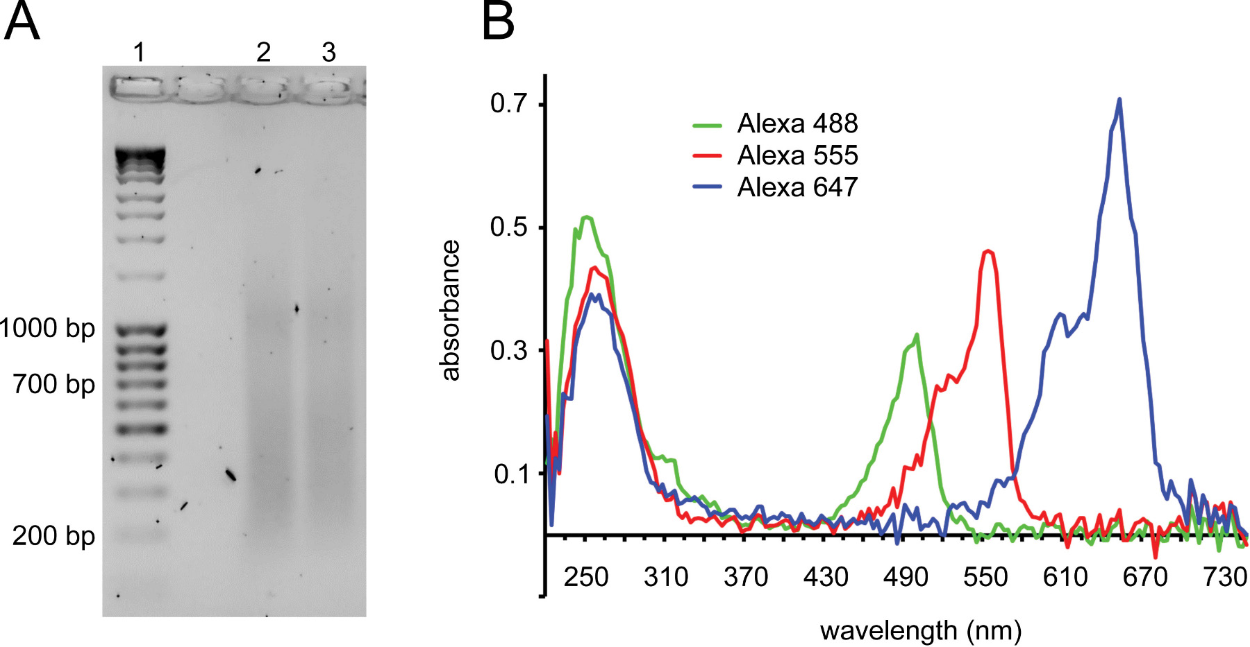 Robust 3D DNA FISH Using Directly Labeled Probes | Protocol