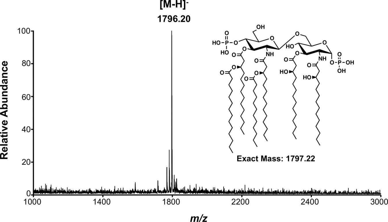 Isolation and Chemical Characterization of Lipid A from Gram-negative ...