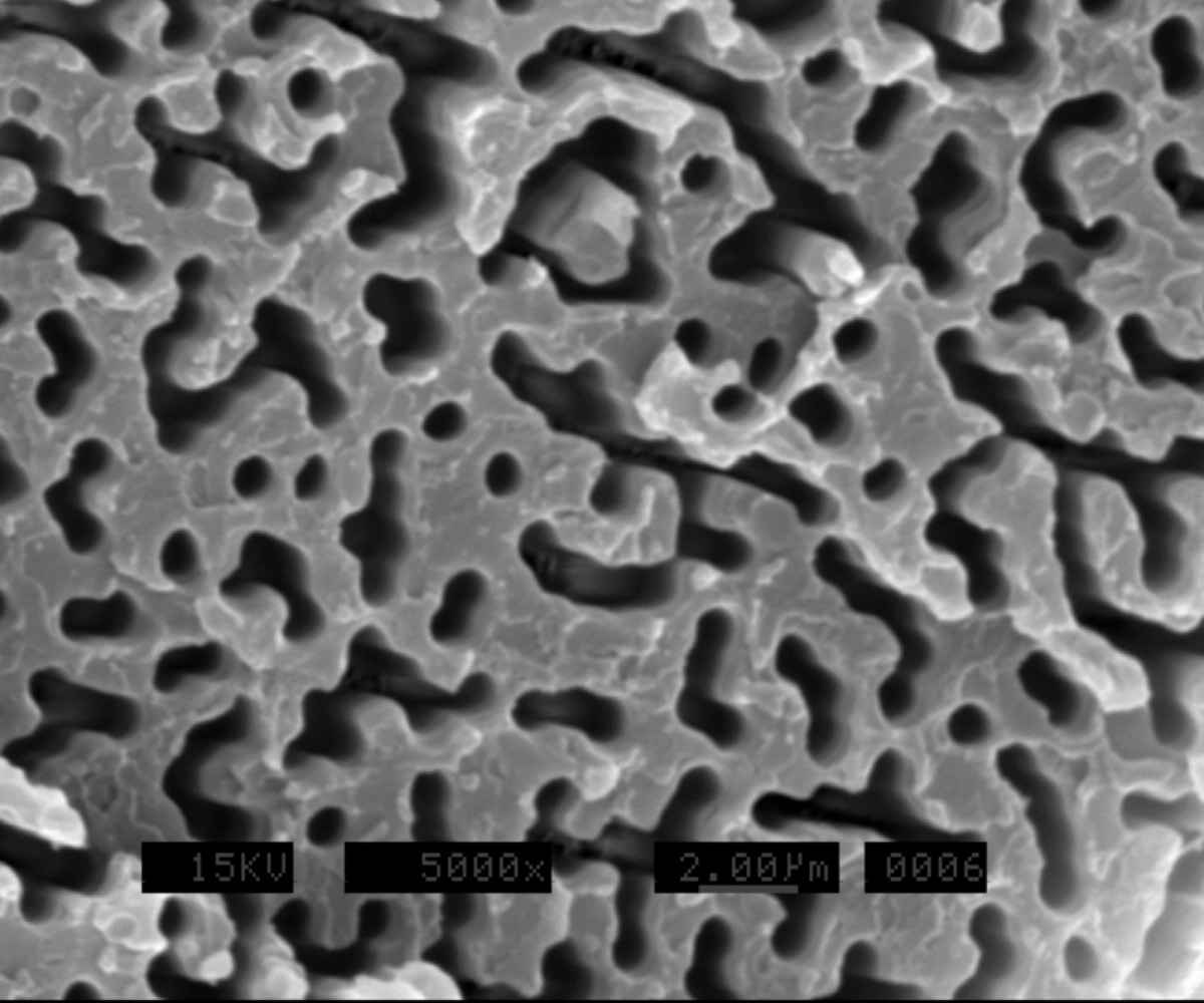 Fabrication and Characterization of Disordered Polymer Optical Fibers ...