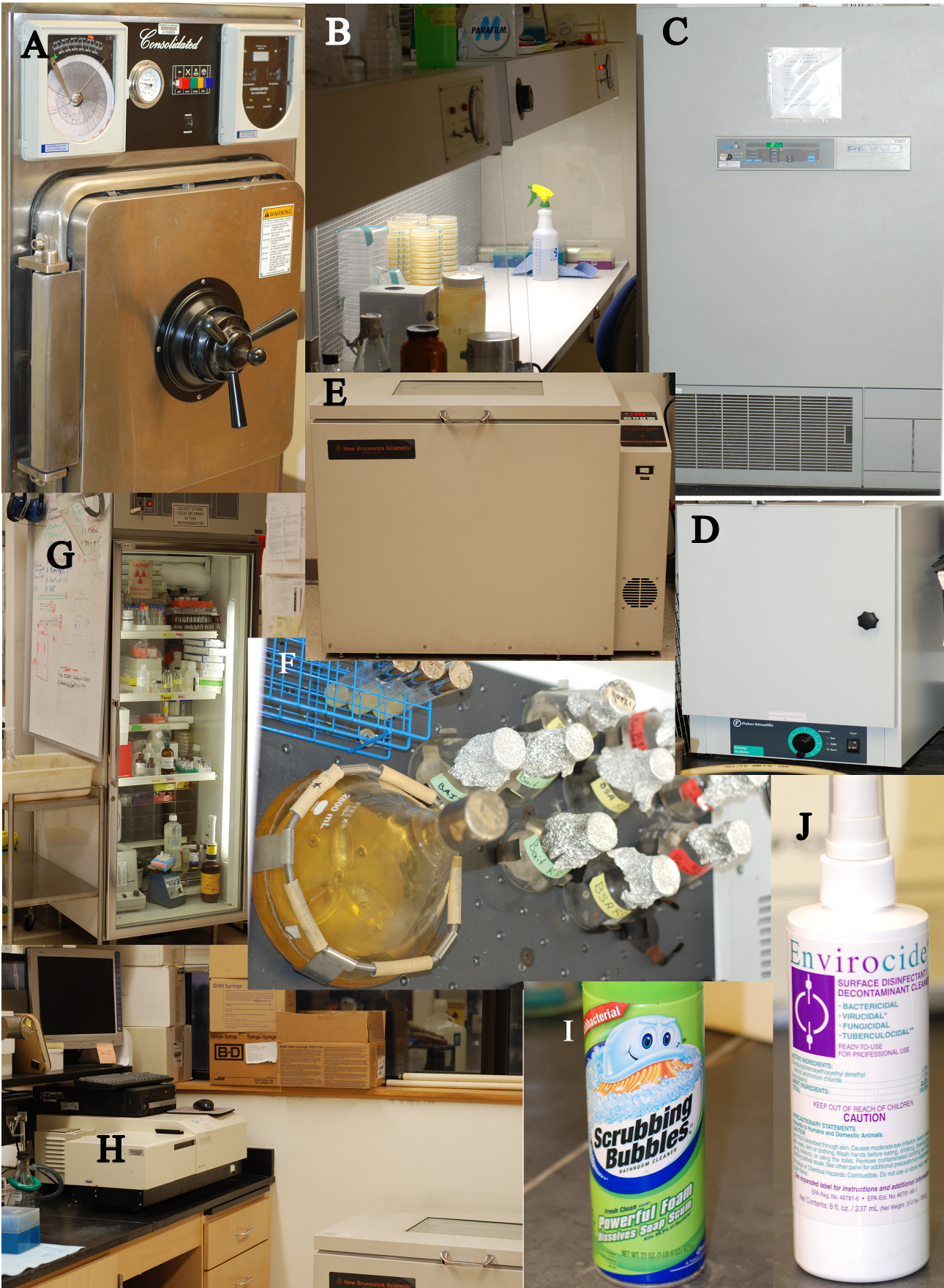 A Protocol For Phage Display And Affinity Selection Using Recombinant