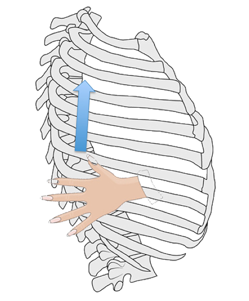 Osteopathic Manipulative Treatment as a Useful Adjunctive Tool for ...