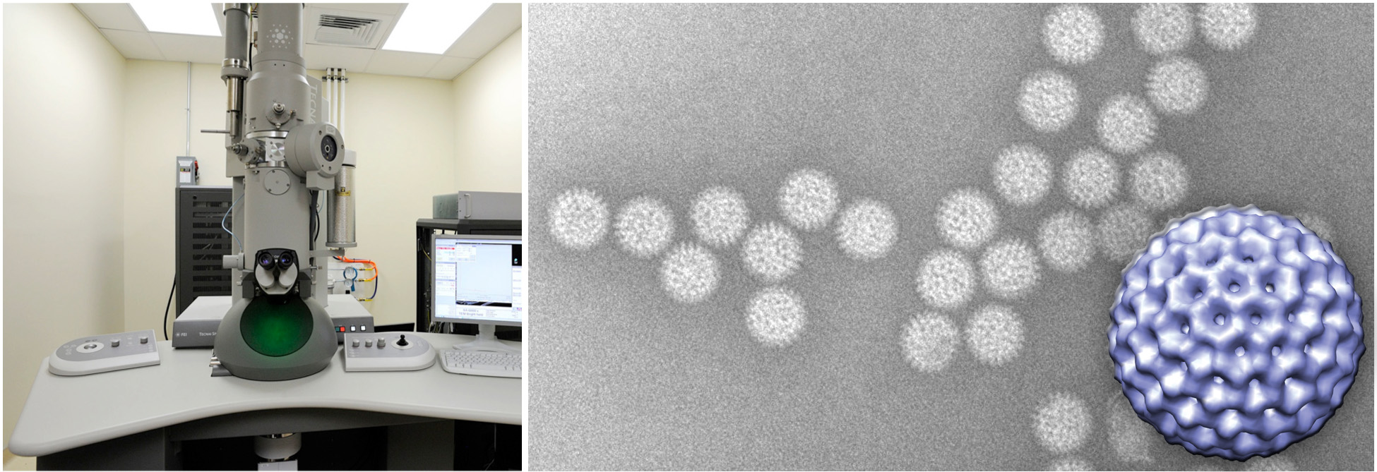 High Throughput Microfluidic Rapid And Low Cost Prototyping Packaging