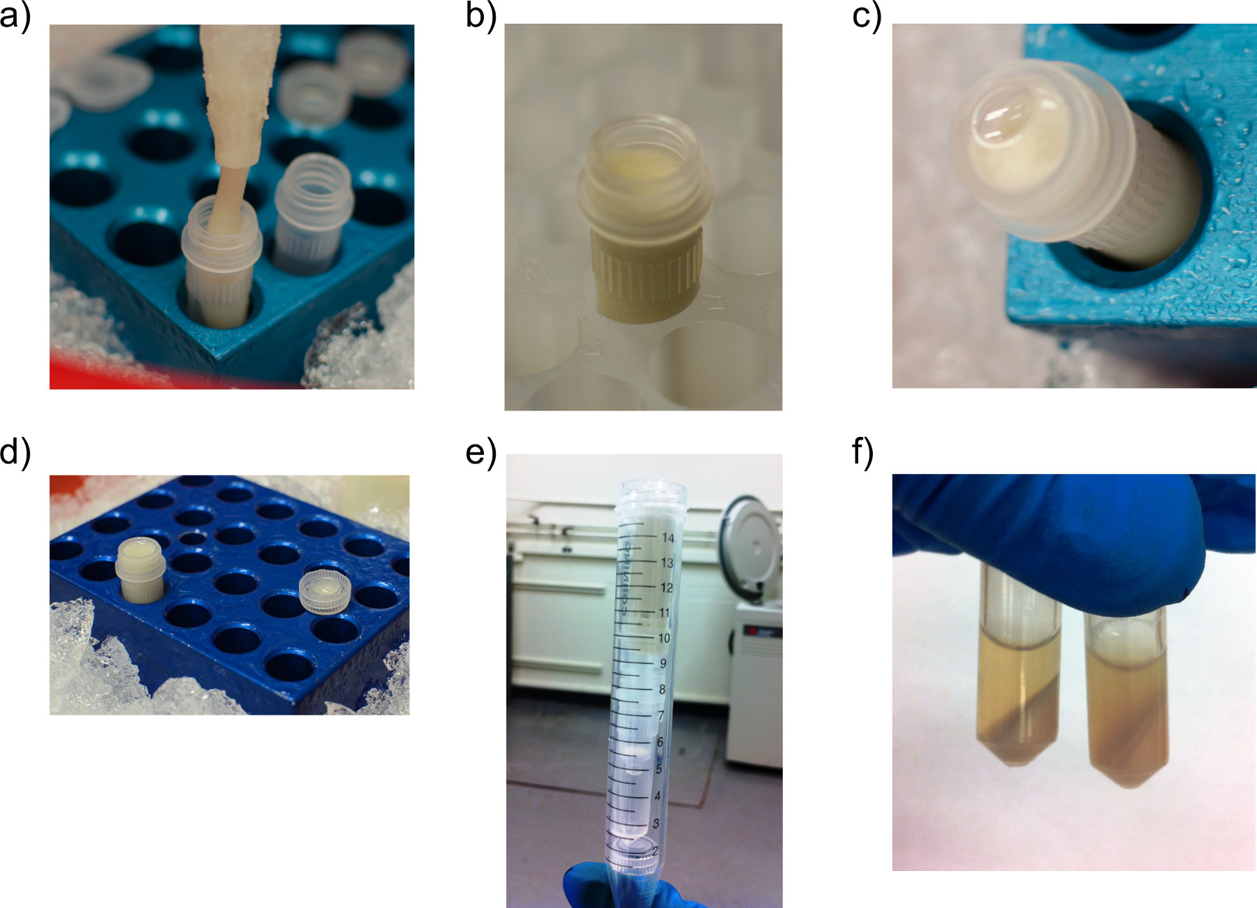 Protocols for Implementing an Escherichia coli Based TX-TL Cell-Free ...