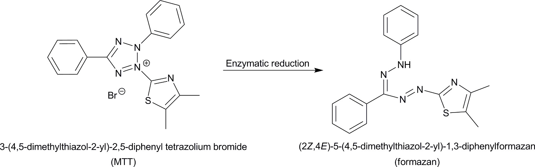 Anticancer Metal Complexes: Synthesis and Cytotoxicity Evaluation by ...