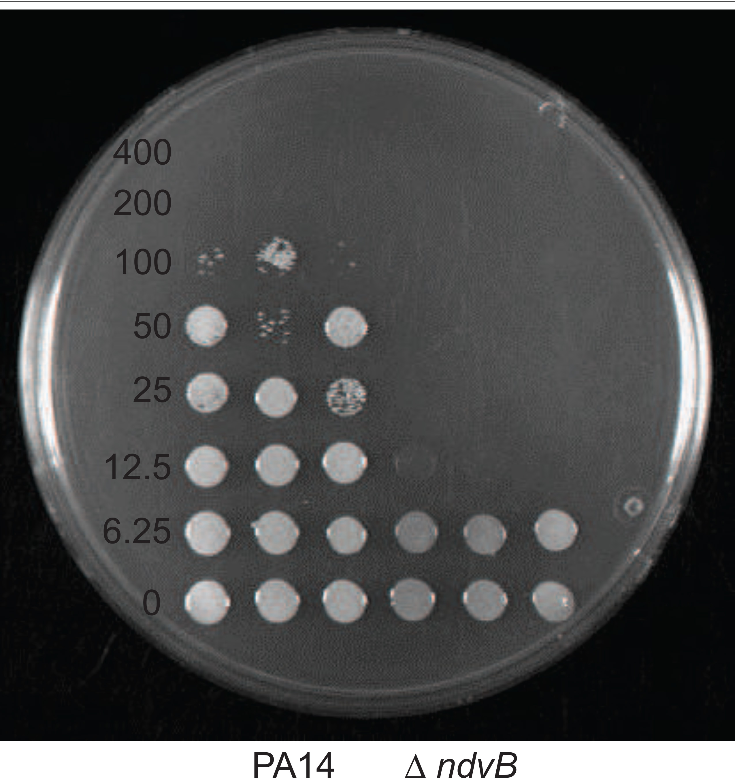 Establishing the Minimal Bactericidal Concentration of an Antimicrobial ...