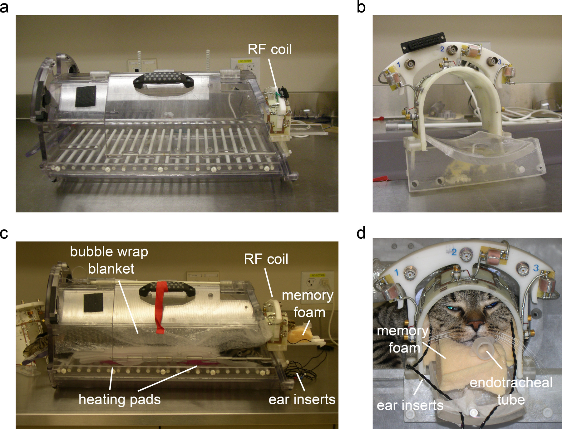 Functional Imaging of Auditory Cortex in Adult Cats using High-field ...