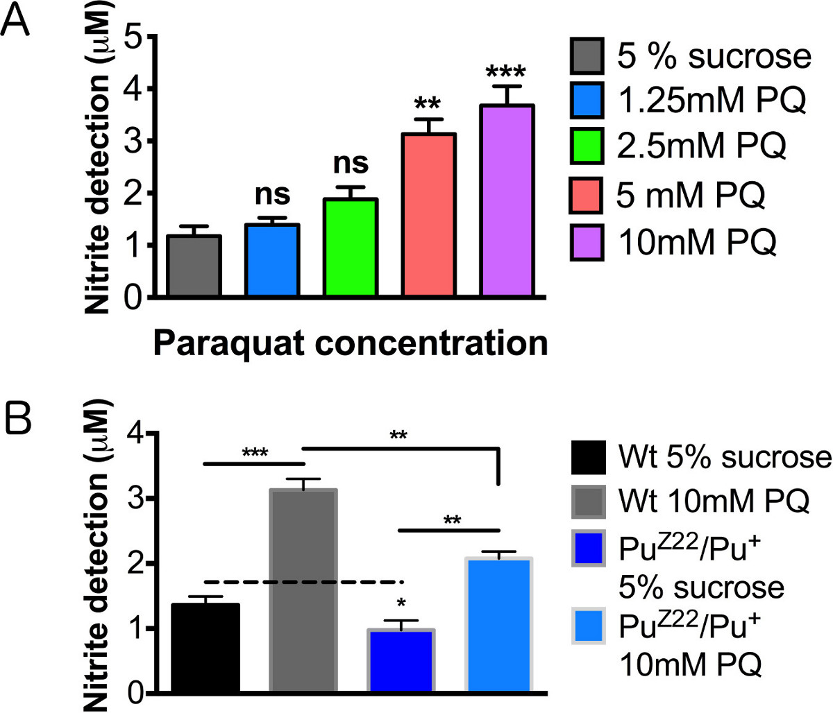 Novel Whole-tissue Quantitative Assay of Nitric Oxide Levels in ...