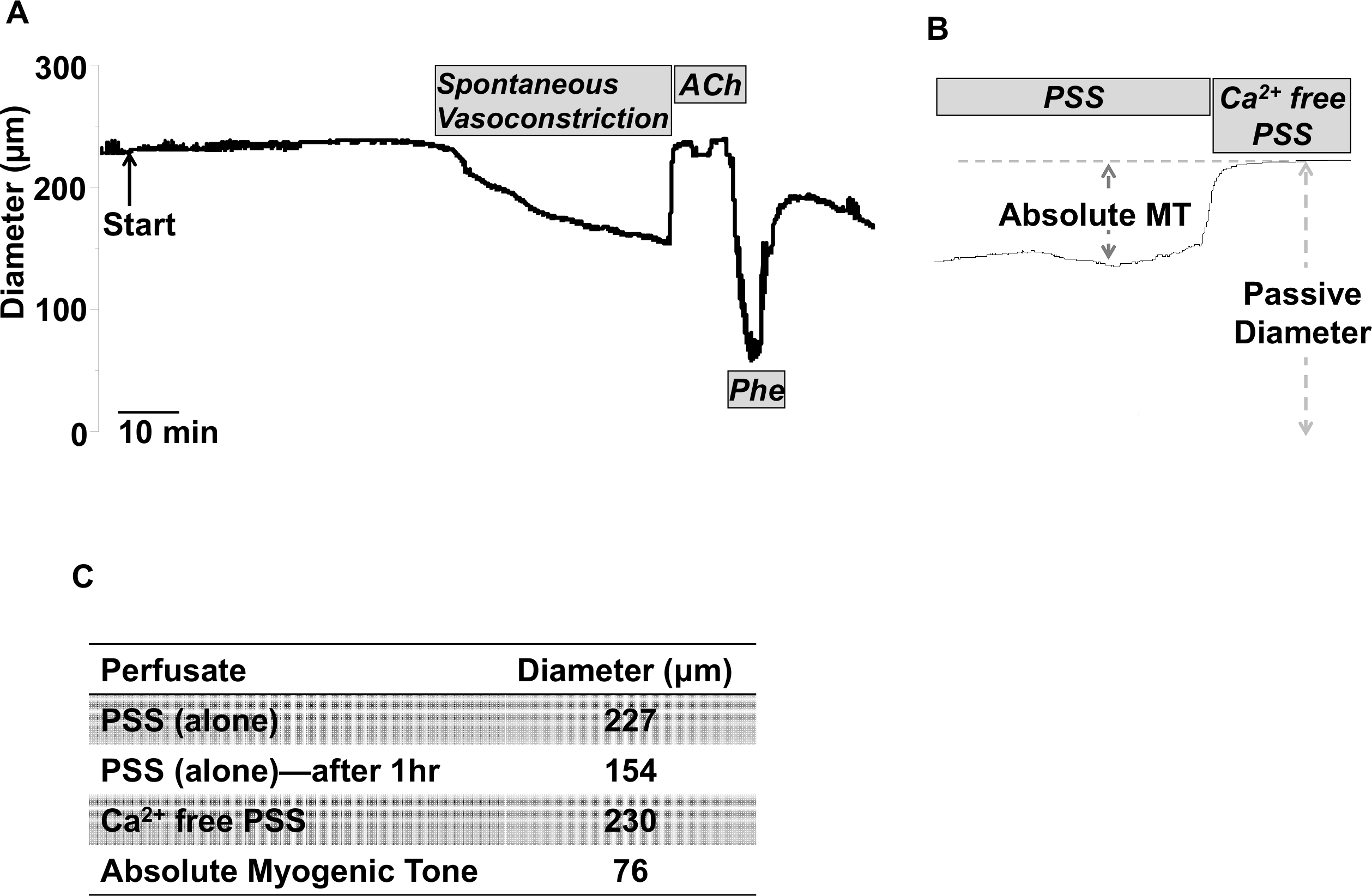 Assessing Myogenic Response and Vasoactivity In Resistance Mesenteric ...