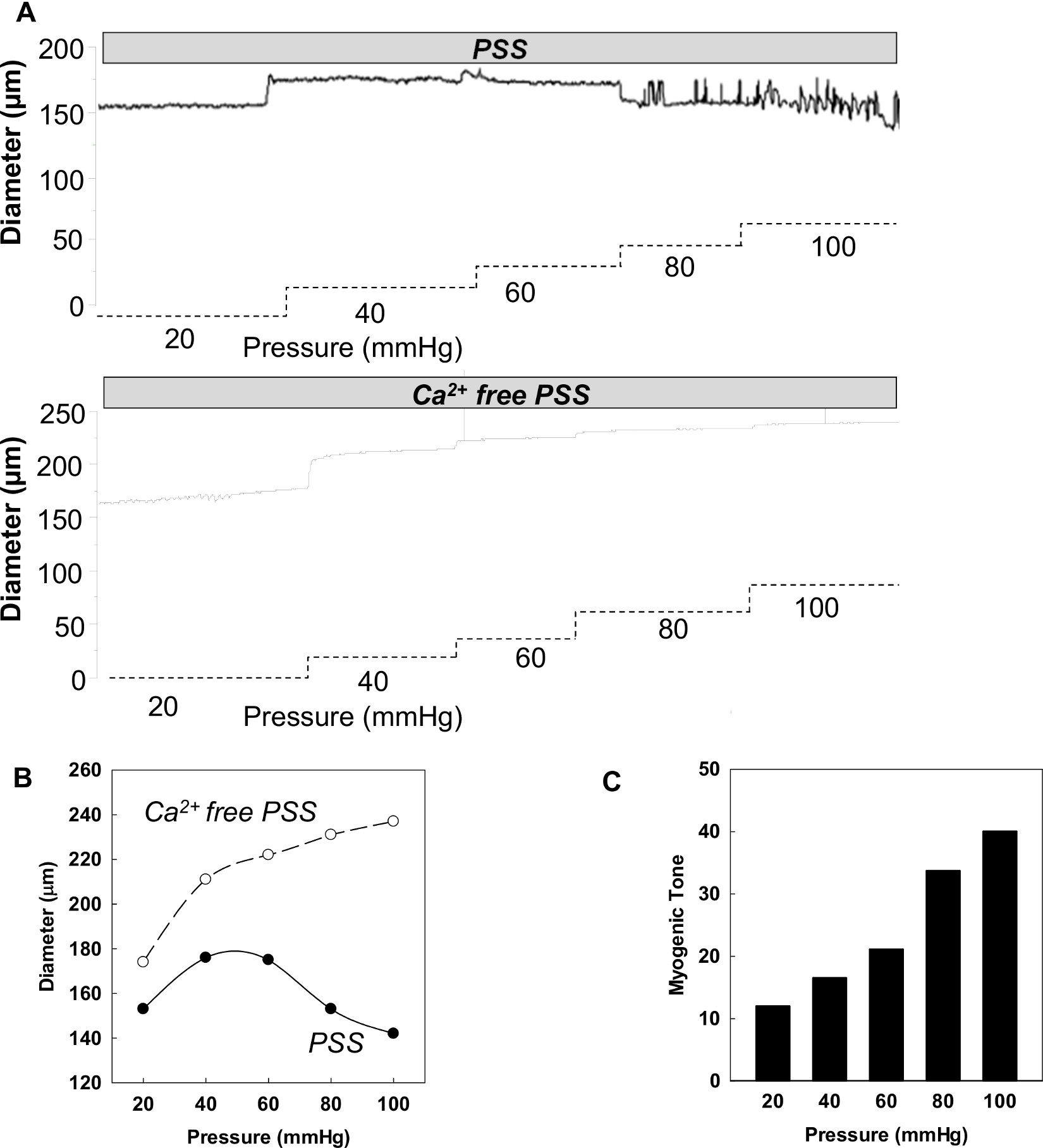 Assessing Myogenic Response and Vasoactivity In Resistance Mesenteric ...