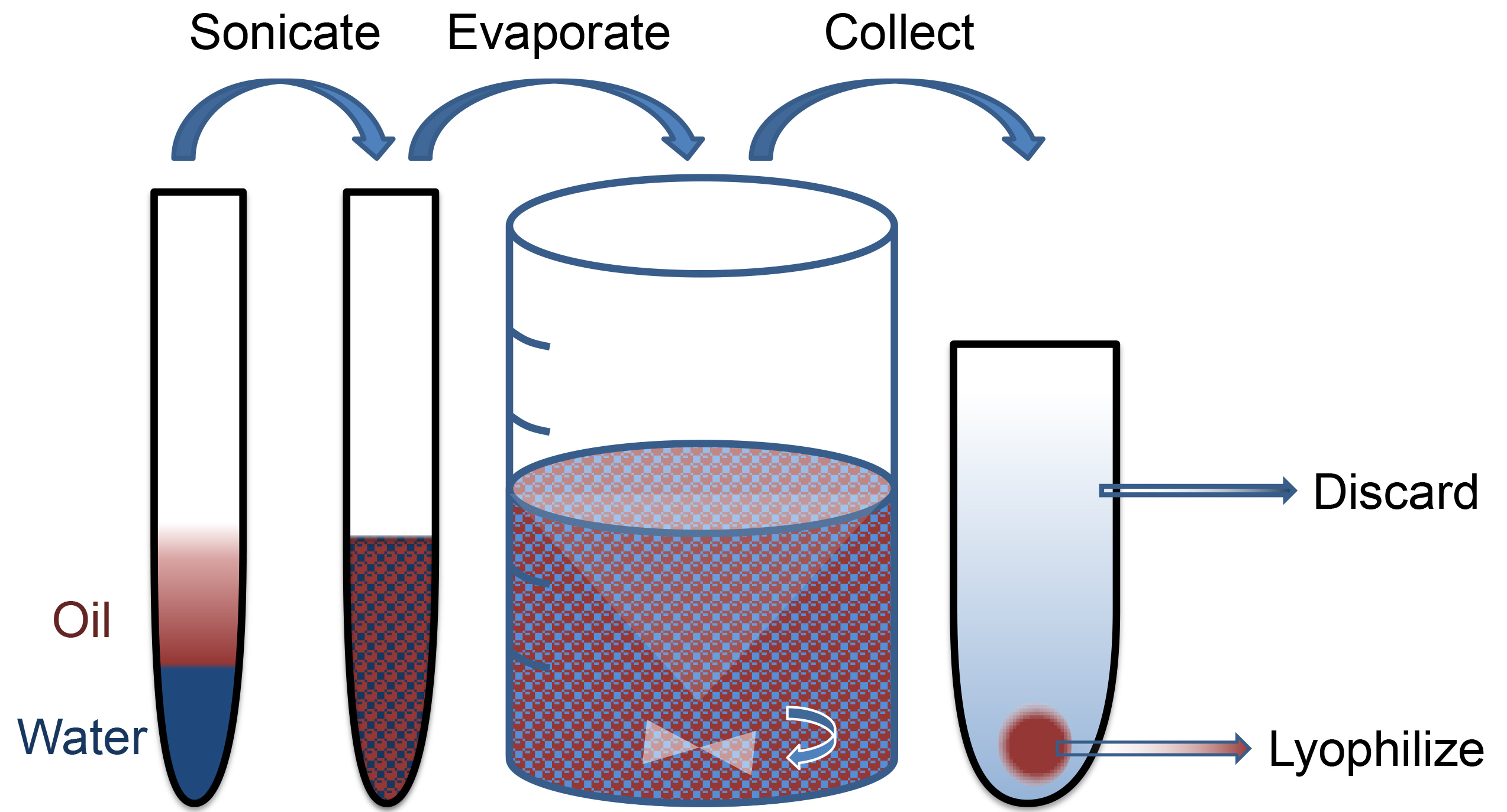 PLGA Nanoparticles Formed by Single- or Double-emulsion with Vitamin E ...