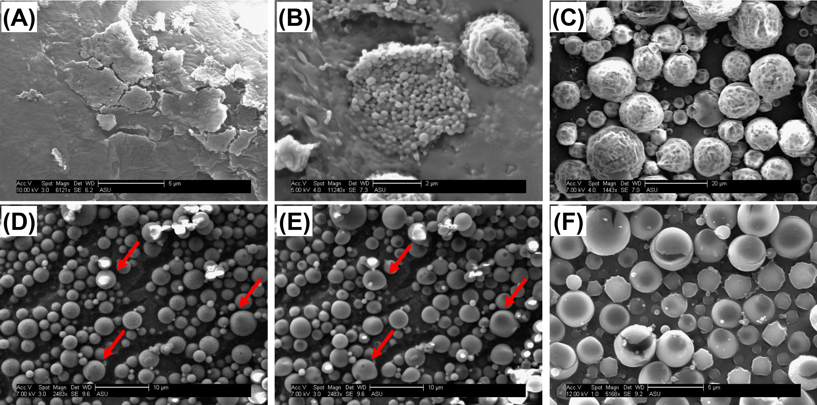 PLGA Nanoparticles Formed by Single- or Double-emulsion with Vitamin E ...