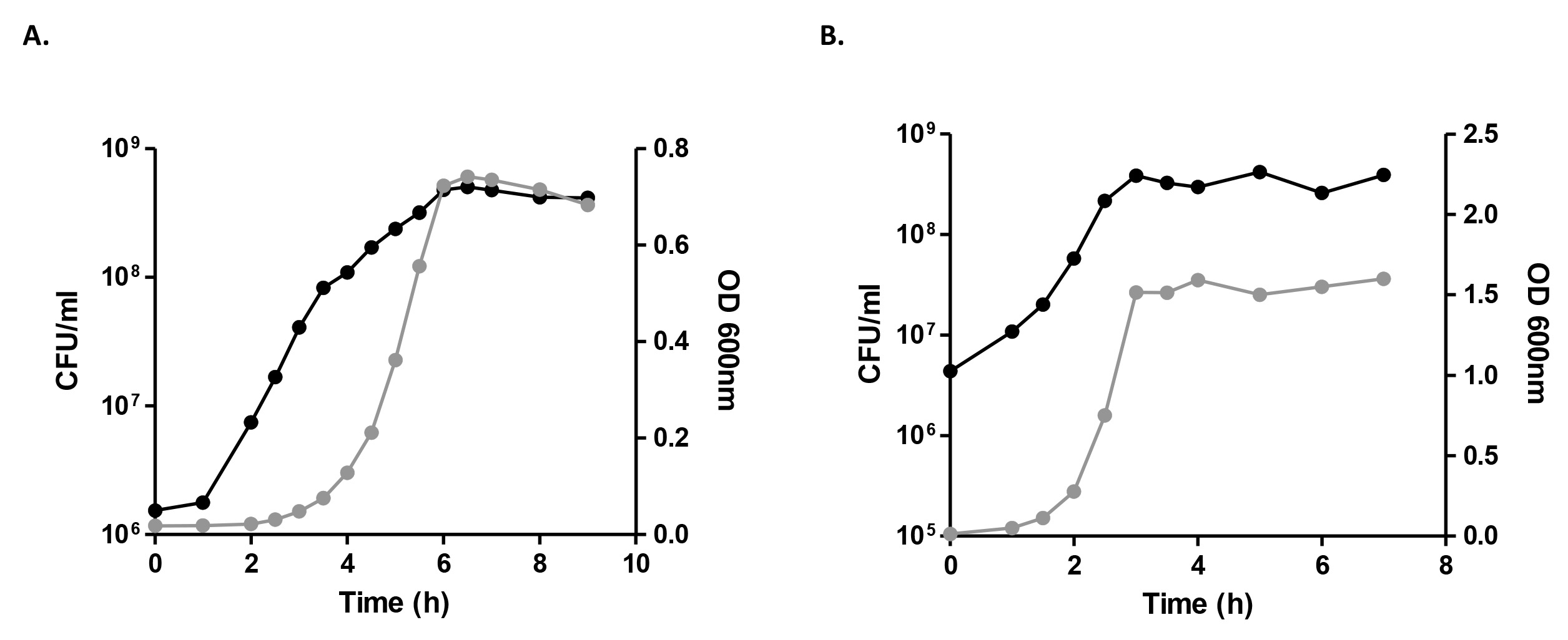 Investigating the Effects of Probiotics on Pneumococcal Colonization ...