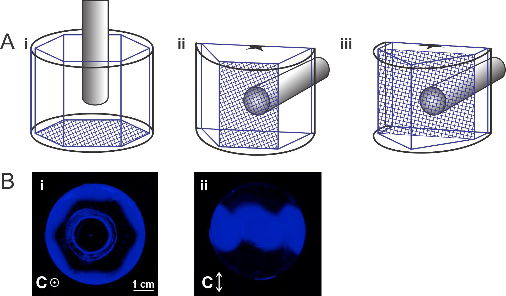 Determining the Ice-binding Planes of Antifreeze Proteins by ...