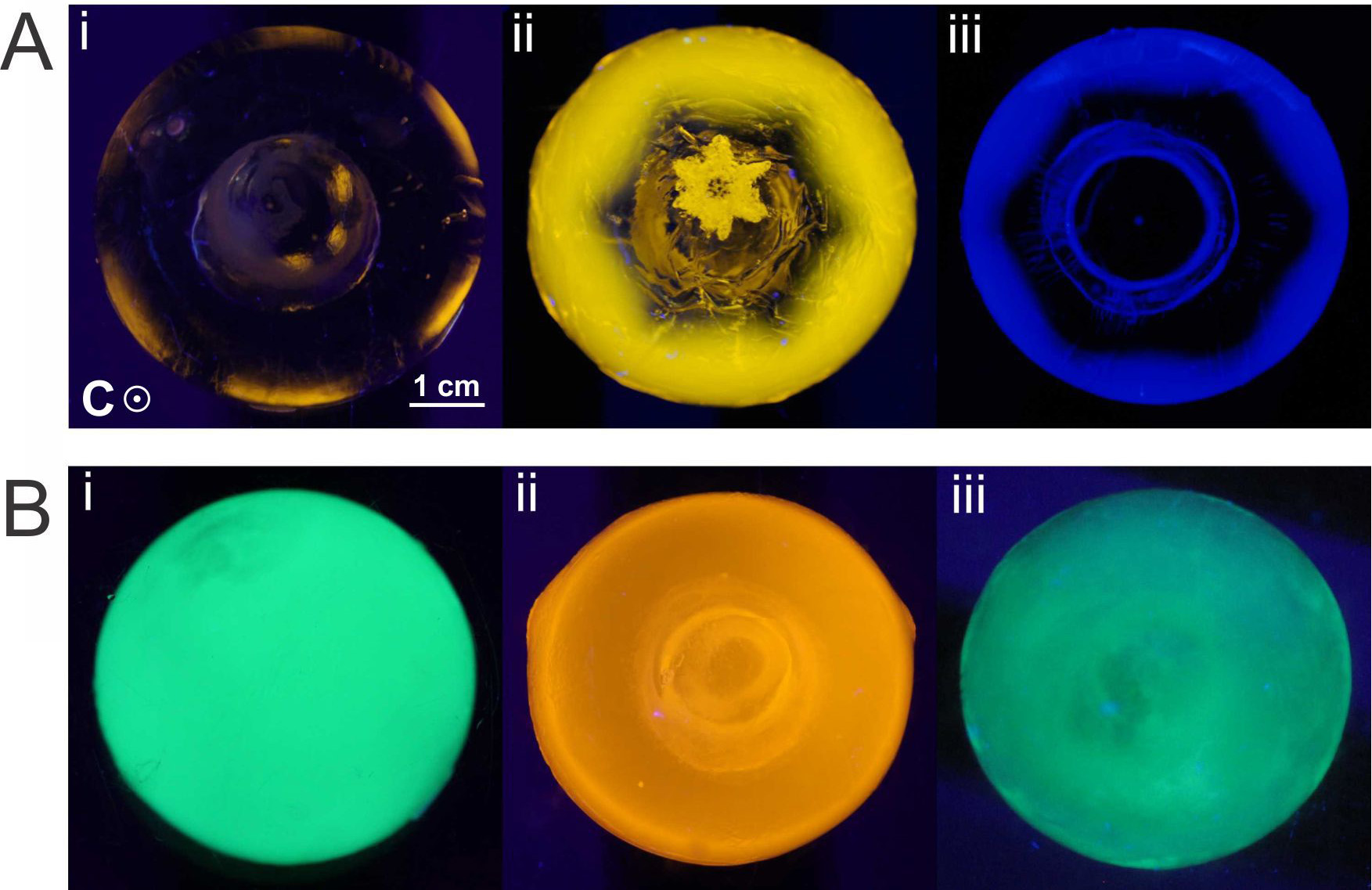 Determining the Ice-binding Planes of Antifreeze Proteins by ...