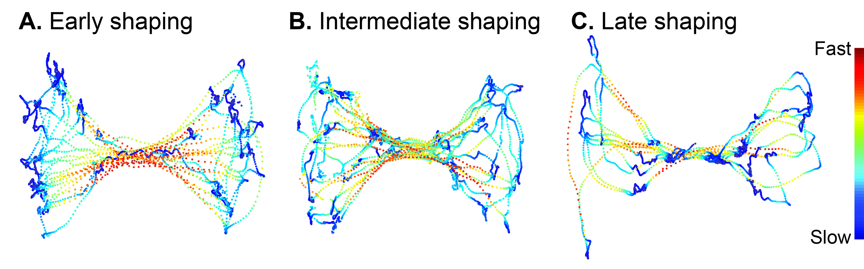 Automated Visual Cognitive Tasks for Recording Neural Activity Using a ...