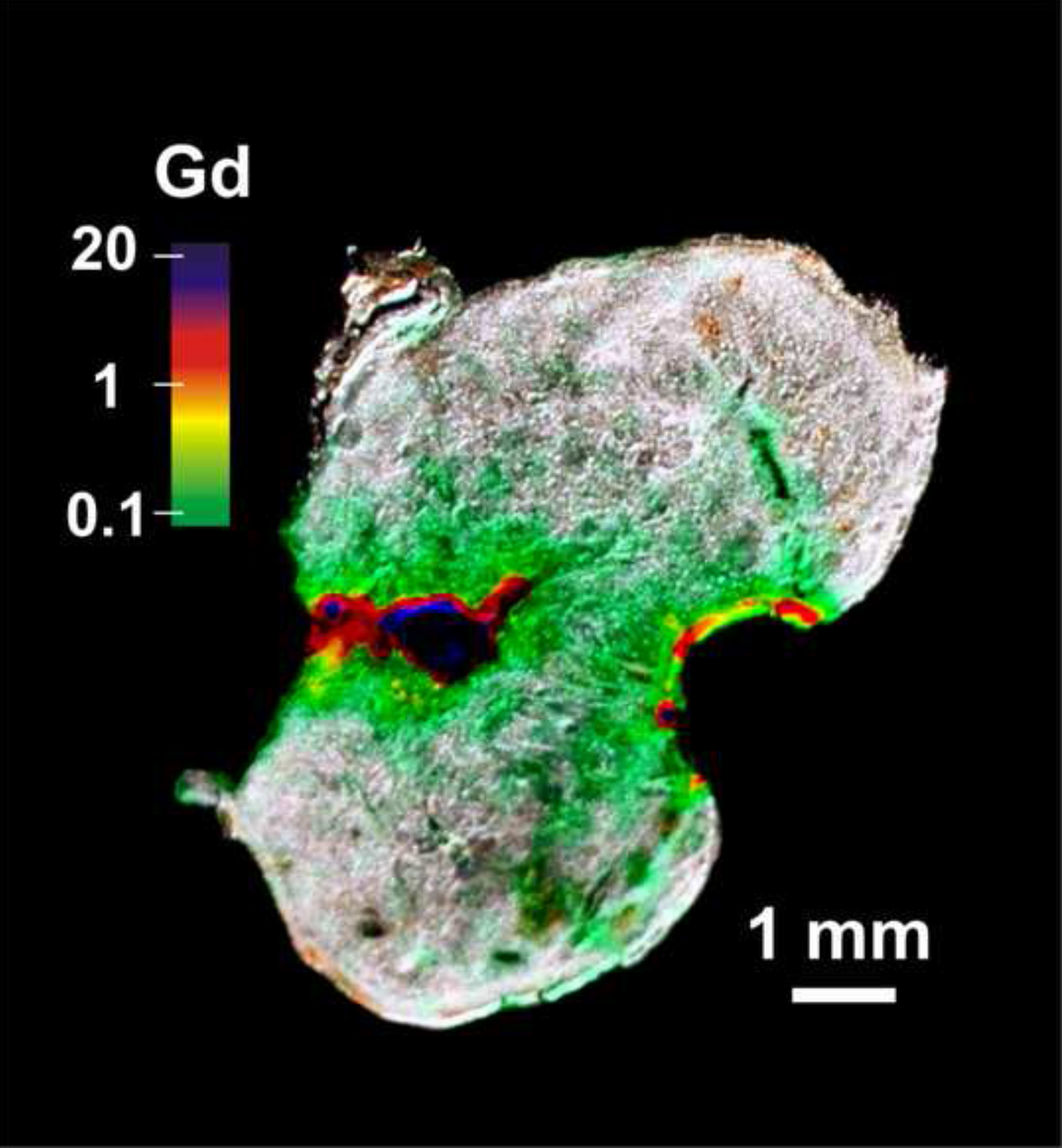 Laser-induced Breakdown Spectroscopy: A New Approach for Nanoparticle's ...