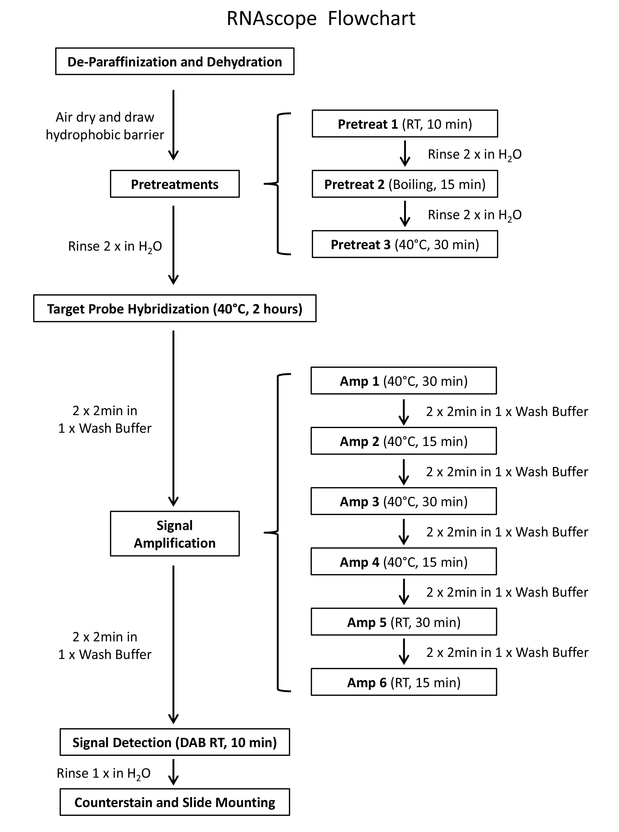 RNAscope for In situ Detection of Transcriptionally Active Human ...