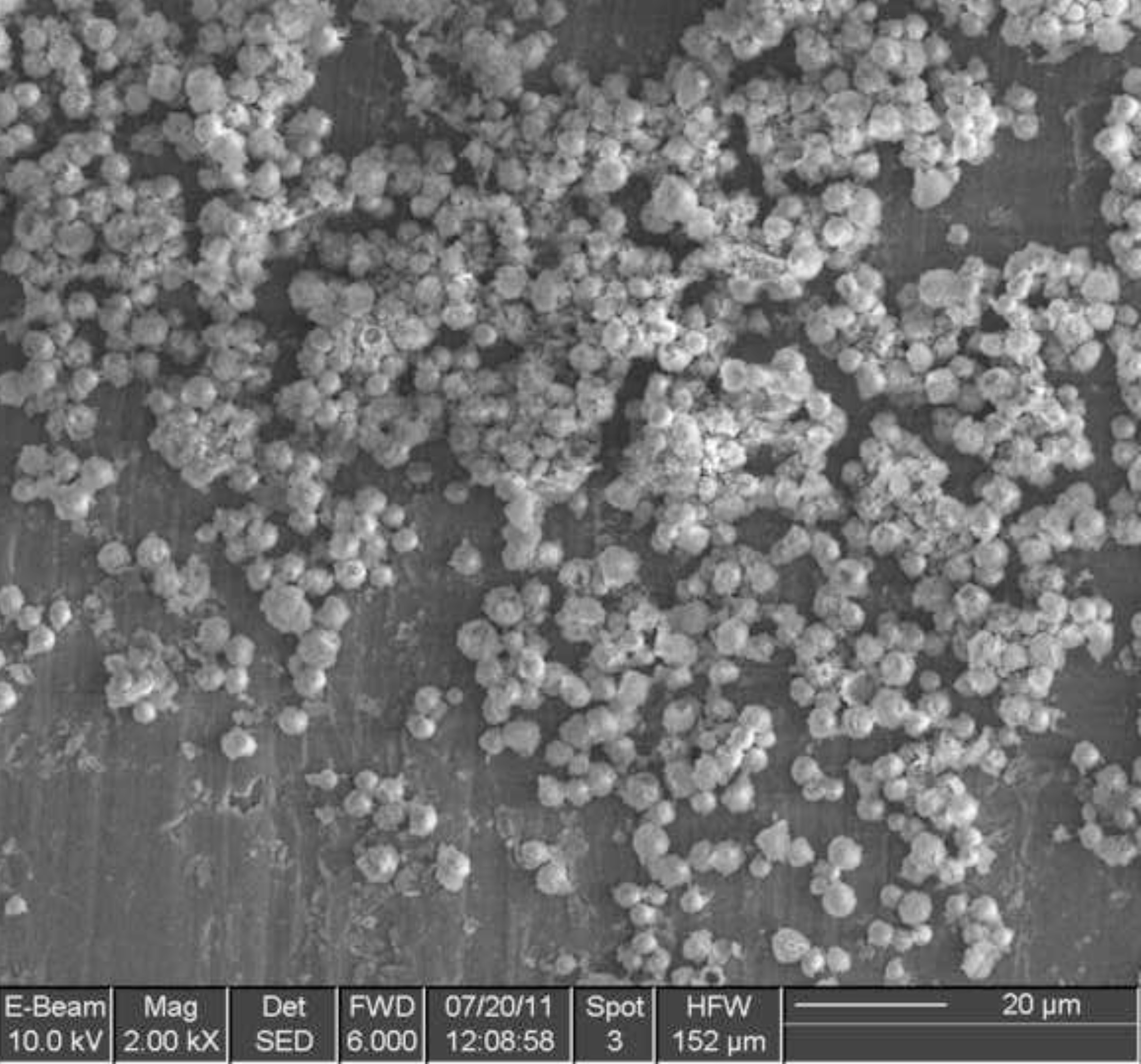 Cryo-electron Microscopy Specimen Preparation By Means Of a Focused Ion ...