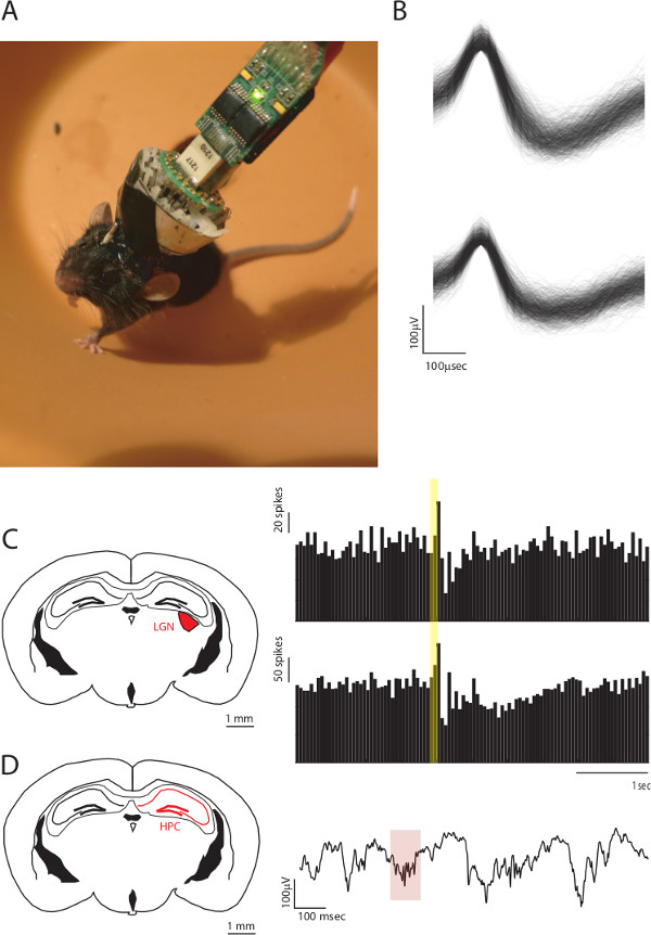 Design and Fabrication of Ultralight Weight, Adjustable Multi-electrode ...