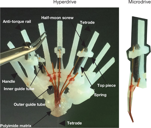 Design and Fabrication of Ultralight Weight, Adjustable Multi-electrode ...