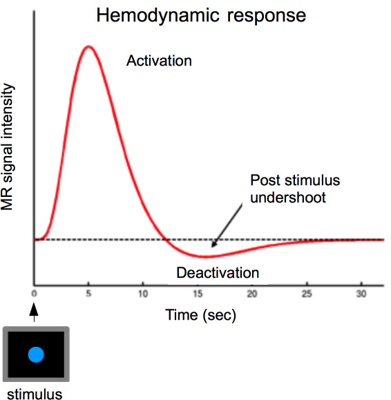 Transferring Cognitive Tasks Between Brain Imaging Modalities ...
