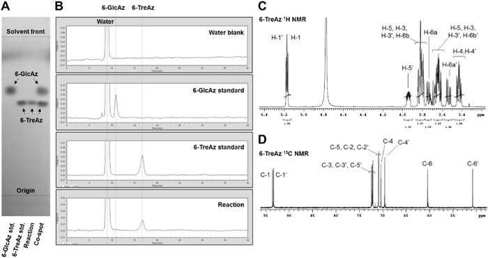 Rapid One-step Enzymatic Synthesis and All-aqueous Purification of ...