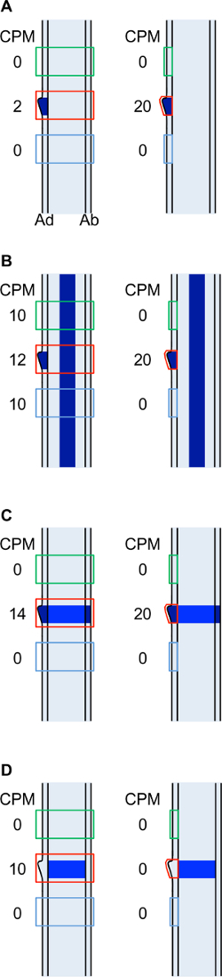 Experimental Design for Laser Microdissection RNA-Seq: Lessons from an ...