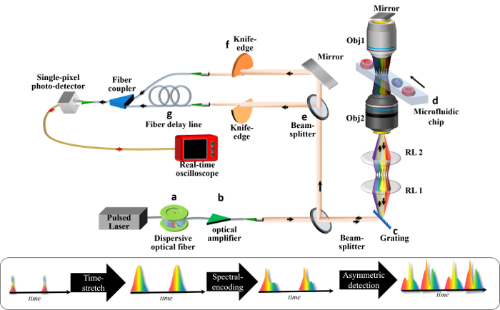 Microfluidic Imaging Flow Cytometry by Asymmetric-detection Time ...
