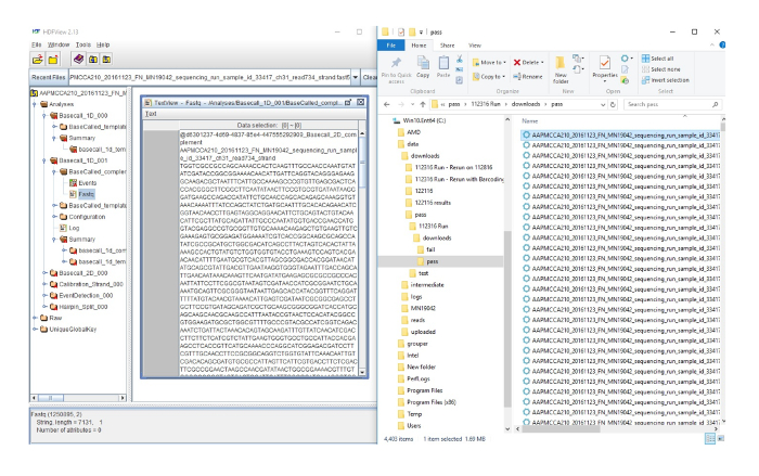 Nanopore DNA Sequencing for Metagenomic Soil Analysis (Scientific ...