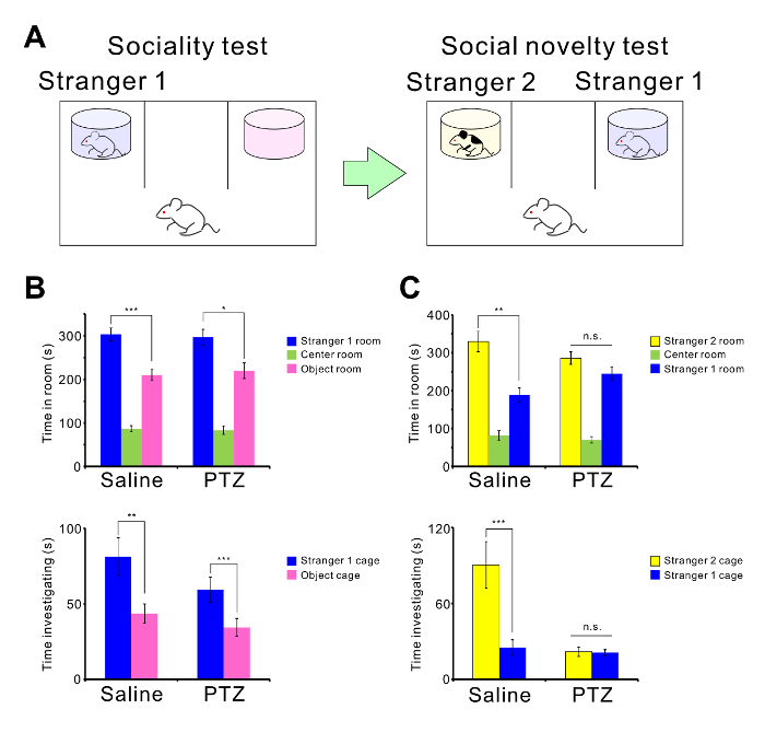 Pentylenetetrazole-Induced Kindling Mouse Model (Video) | JoVE