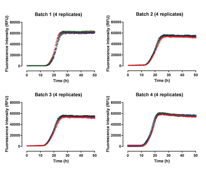 In Vitro Assay for Studying the Aggregation of Tau Protein and Drug ...