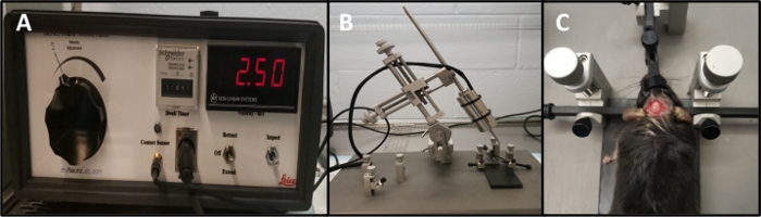 Murine Model of Controlled Cortical Impact for the Induction of ...