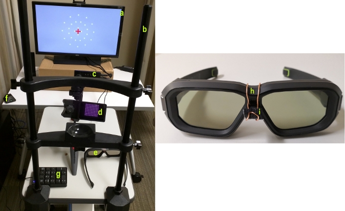 Assessing Binocular Central Visual Field and Binocular Eye Movements in ...