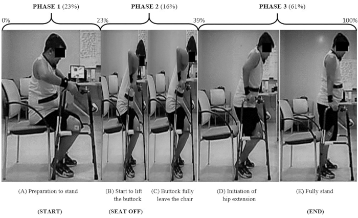 Quantifying Arms and Legs Contributions during Repetitive Electrically ...