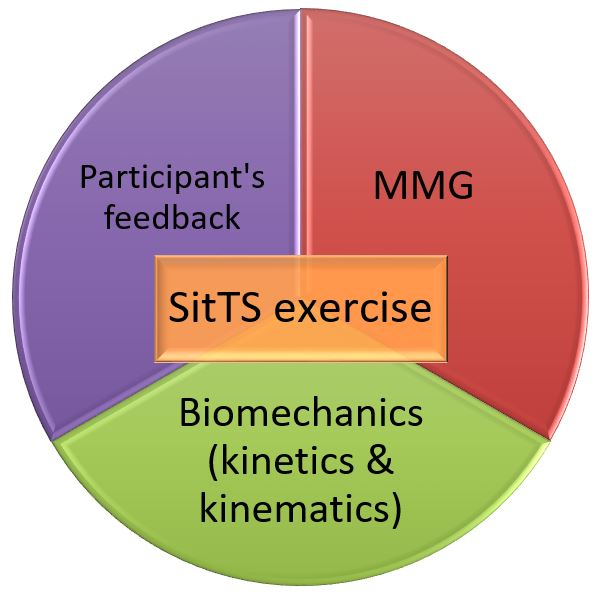 Quantifying Arms and Legs Contributions during Repetitive Electrically ...