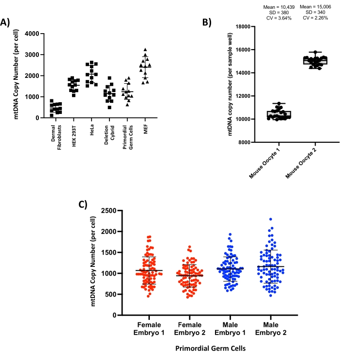 Measuring Single-Cell Mitochondrial DNA Copy Number and Heteroplasmy ...