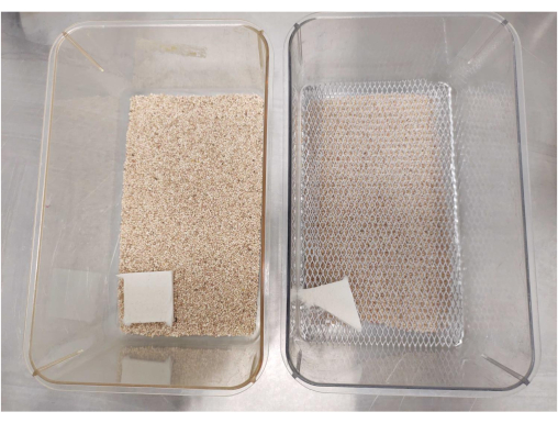 Limited Bedding and Nesting as a Model for Early-Life Adversity in Mice ...