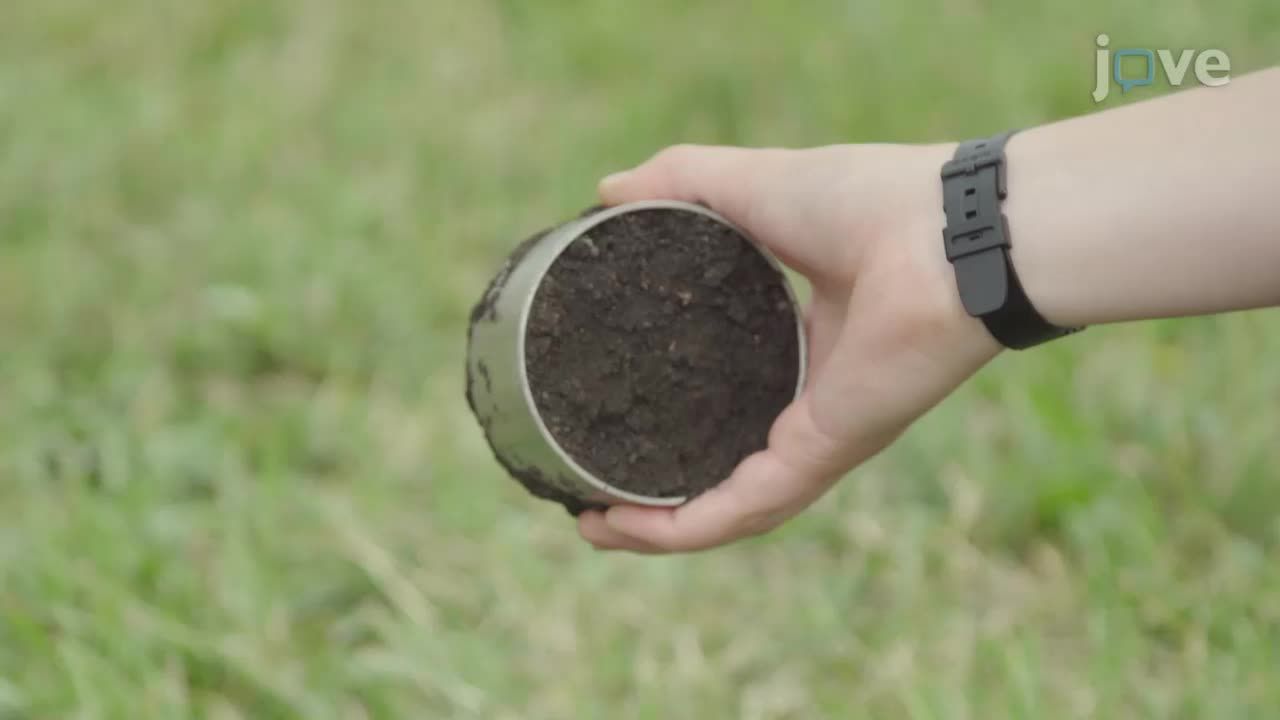 비디오: Soil Core Sample Collection for Water Retention Property Analysis - 실험