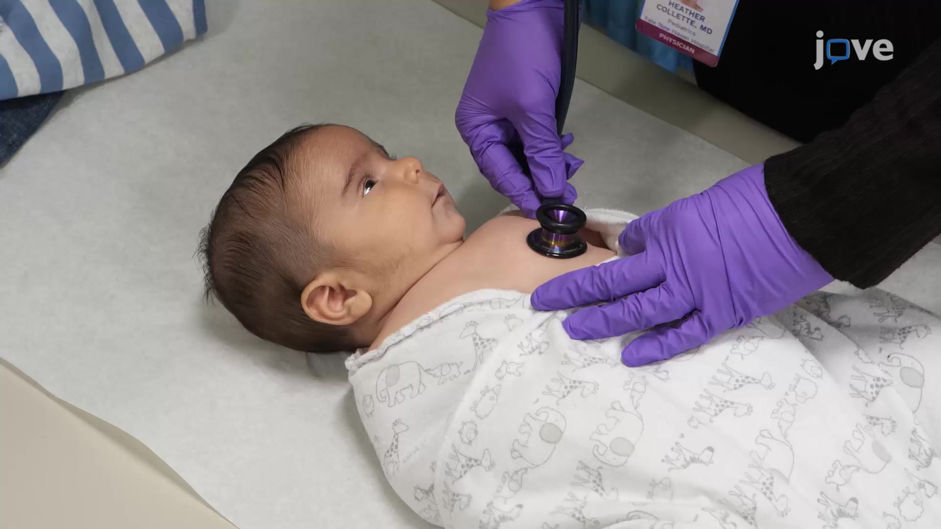 Video The Comprehensive Infant Examination